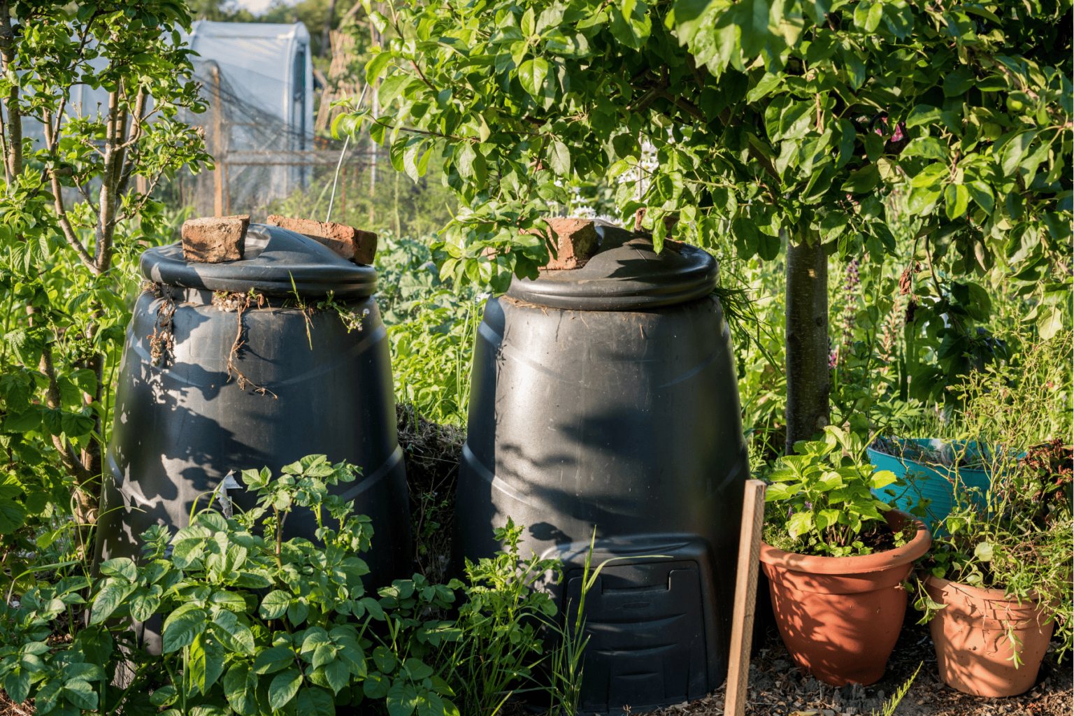 Composting - Brisbane Sustainability Agency