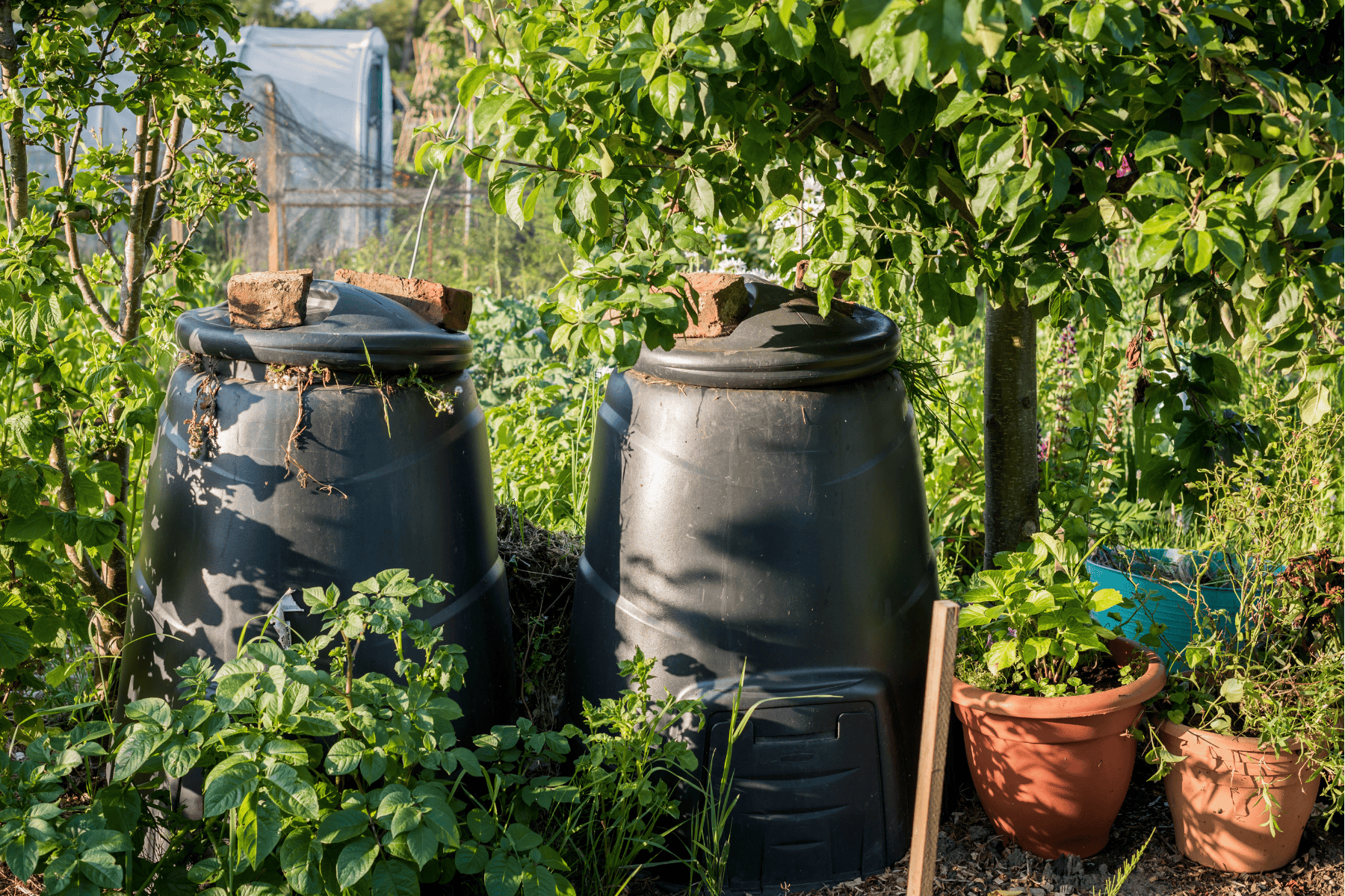 Low Waste Tuckshop - Brisbane Sustainability Agency