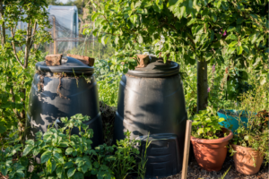 Composting - Brisbane Sustainability Agency