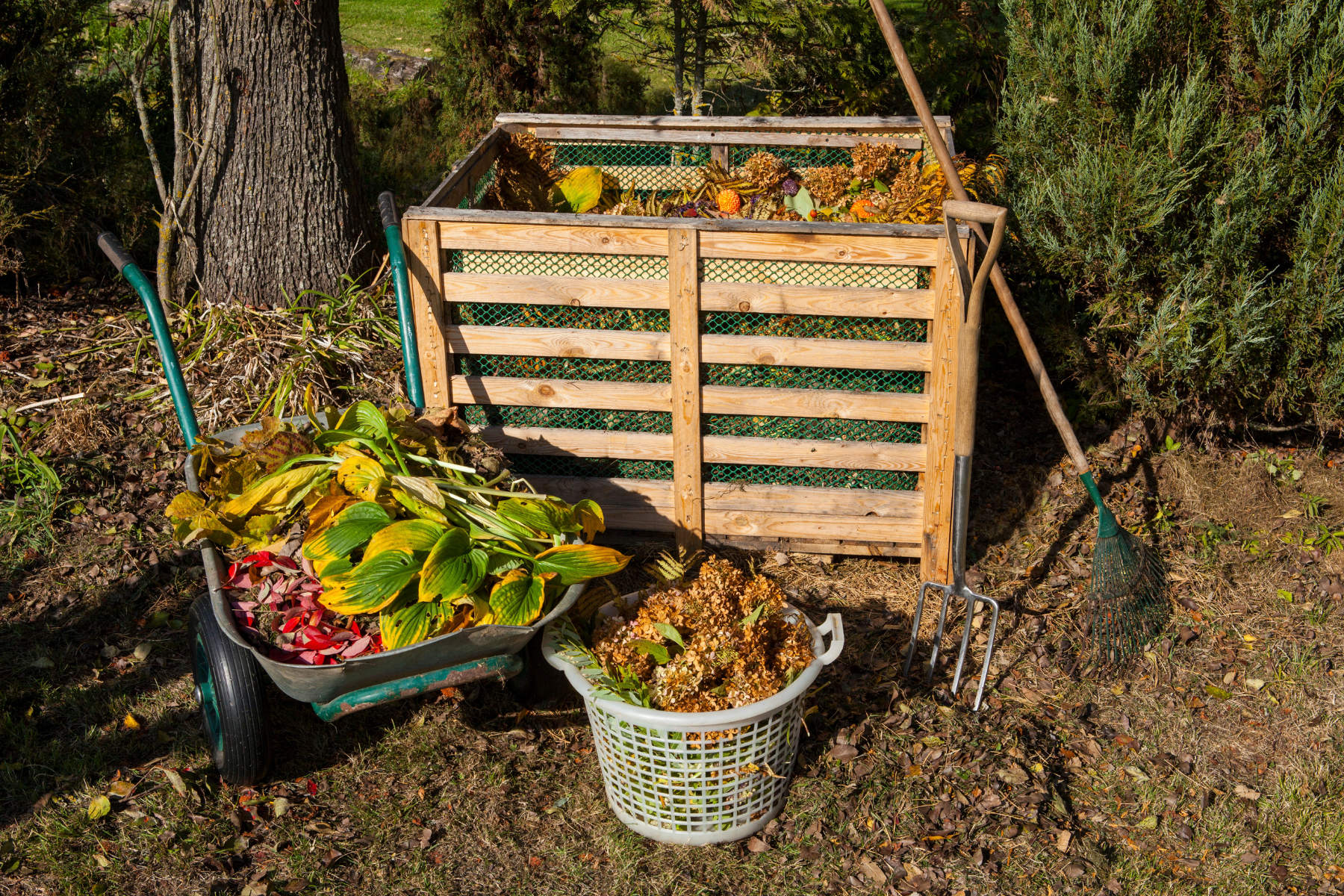 Composting - Brisbane Sustainability Agency